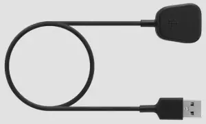 What Does The Fitbit Charger Look Like?