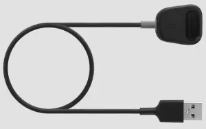 What Does The Fitbit Charger Look Like?