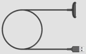 What Does The Fitbit Charger Look Like?
